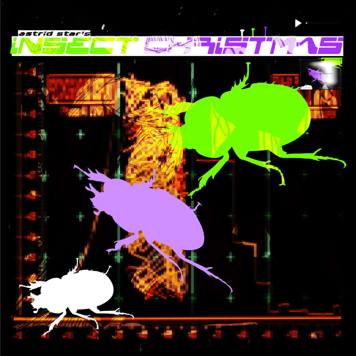 insect.christmas ʚïɞ